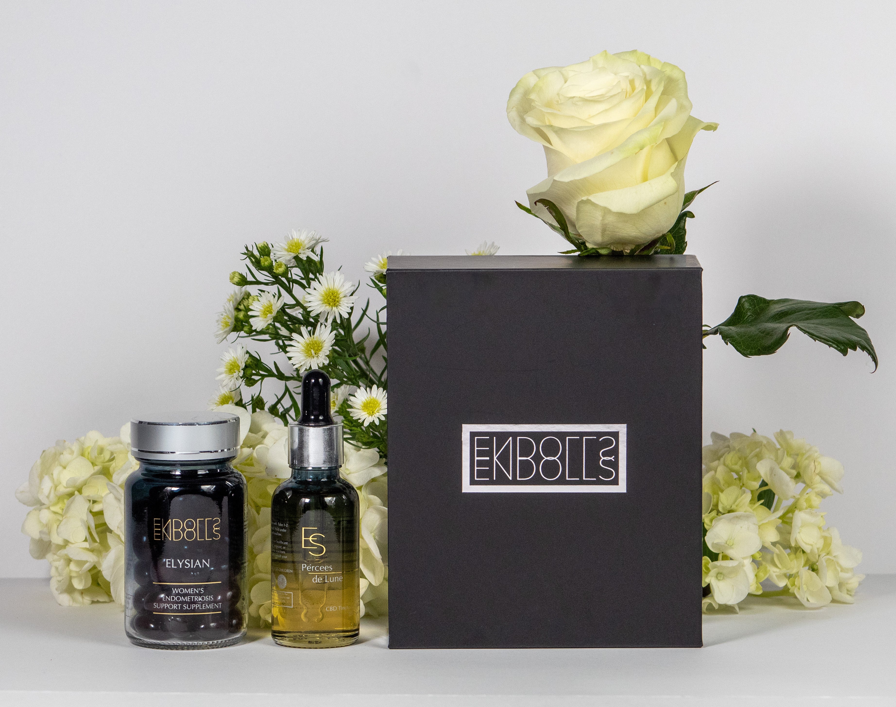 Stage 3 & 4 Endo Repair Plus – ENDOLLS